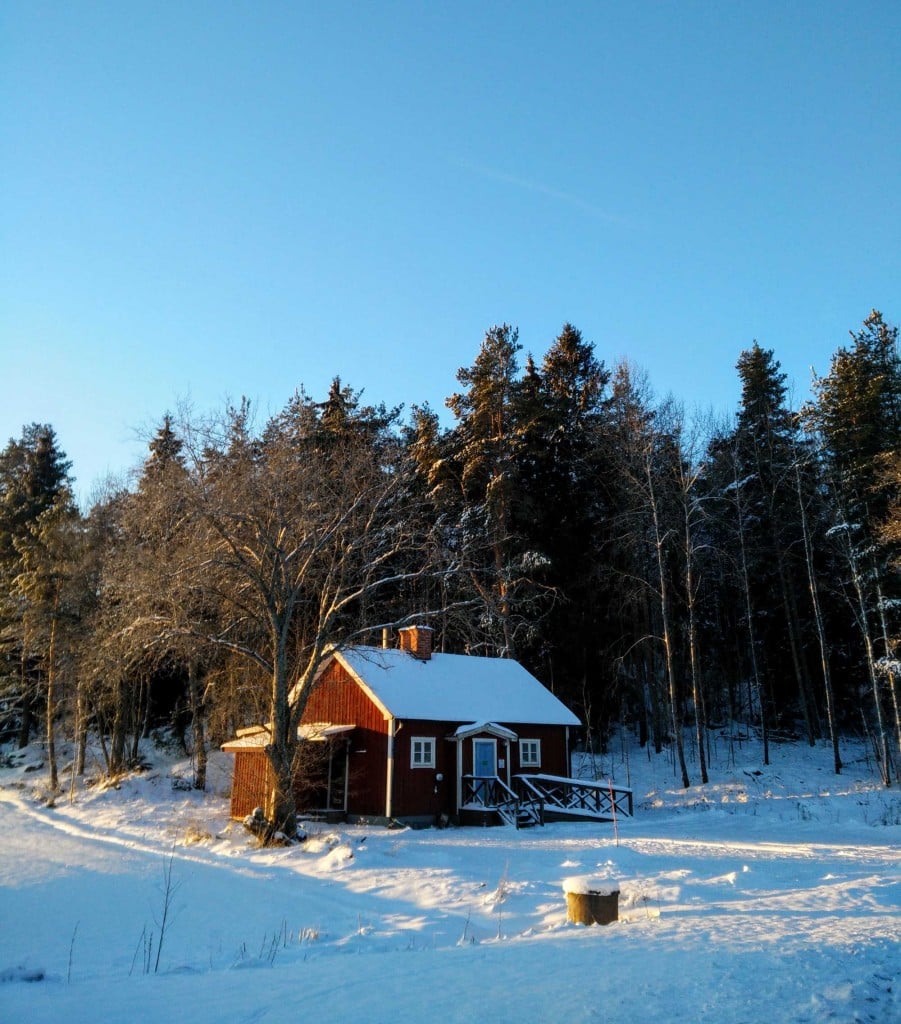 Kallt väder, varmt te | Pekoe ekologiskt te